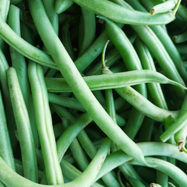 Ejote | Tianguis Virtual