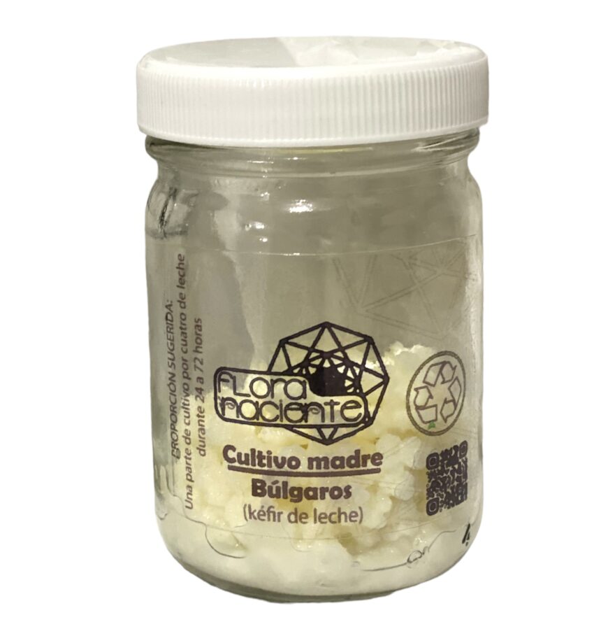 Cultivo de Bulgaros 25 gr | Tianguis Virtual